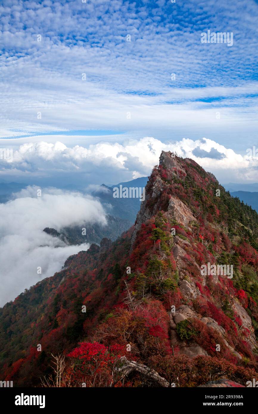 Mount Ishizuchi View of the sacred Mount Tengu and sea of clouds and ...