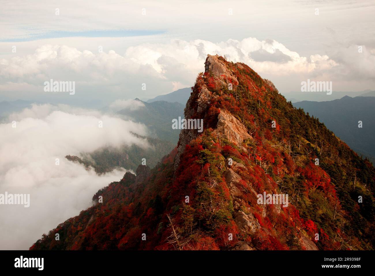 Mount Ishizuchi View of the sacred Mount Tengu and sea of clouds from ...