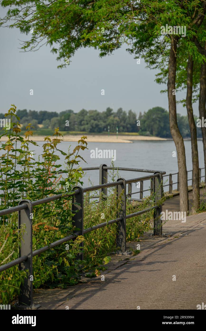 Rhine bridge rees hi-res stock photography and images - Alamy