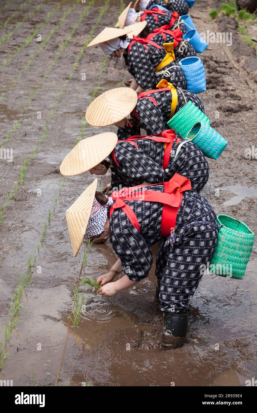 Rice Planting Festival Stock Photo - Alamy