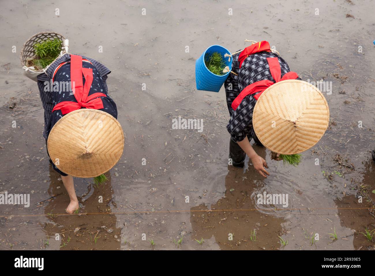 Shirakawa-go Rice Planting Festival Stock Photo - Alamy