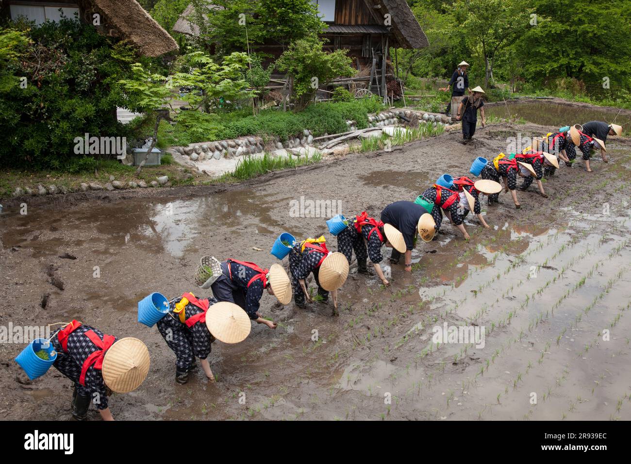 Japan rice festival hi-res stock photography and images - Alamy