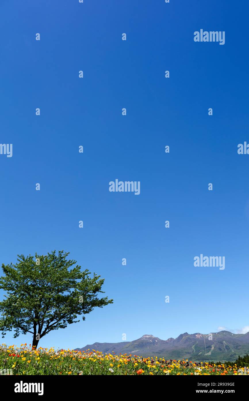 Nasu mountain range hi-res stock photography and images - Alamy