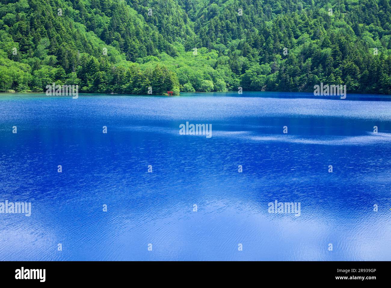 Onuma gun hi-res stock photography and images - Alamy