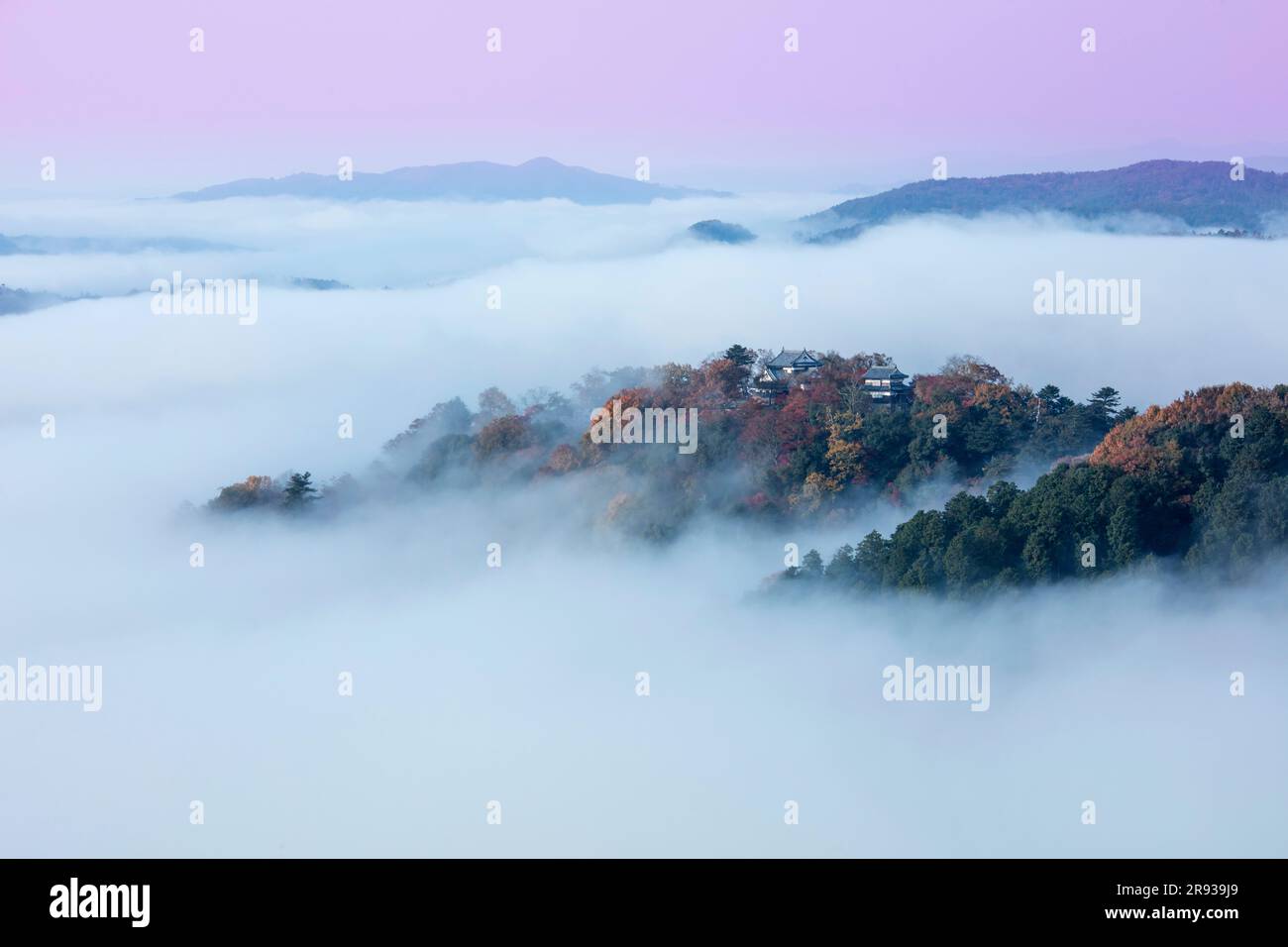 Bicchu Matsuyama Castle surrounded by sea of clouds Stock Photo - Alamy
