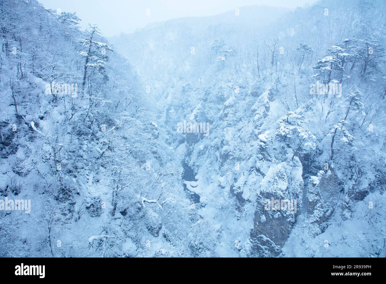 Naruko Gorge in Winter Stock Photo - Alamy