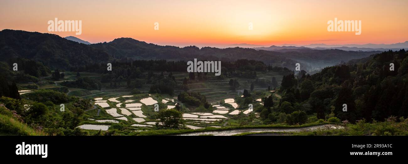 Terraced Rice Fields at Hoshitoge at Dawn Stock Photo - Alamy