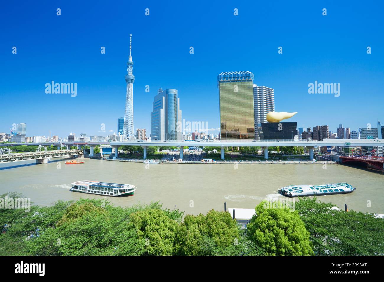 Sumida Park and Tokyo Sky Tree Stock Photo - Alamy