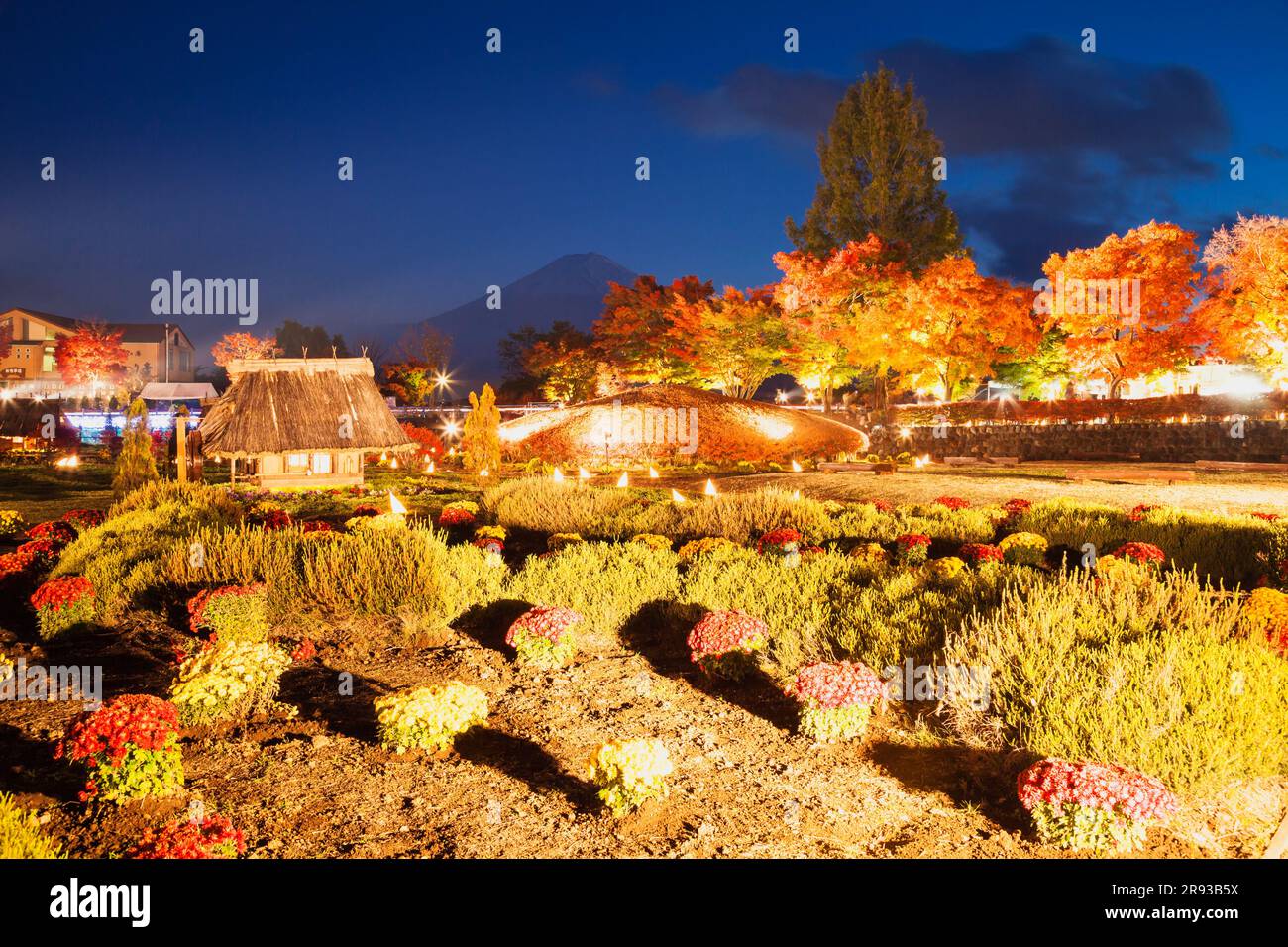 Fuji and Fuji-Kawaguchiko Autumn Foliage Festival Stock Photo - Alamy