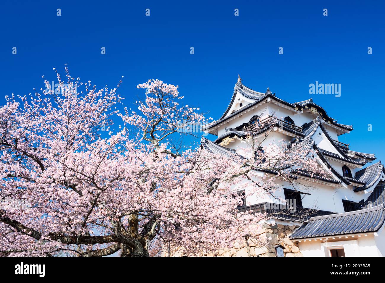 Hikone castle tower hi-res stock photography and images - Alamy