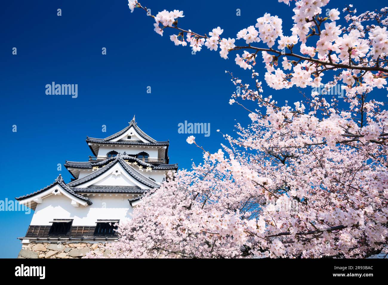 Hikone castle hi-res stock photography and images - Alamy