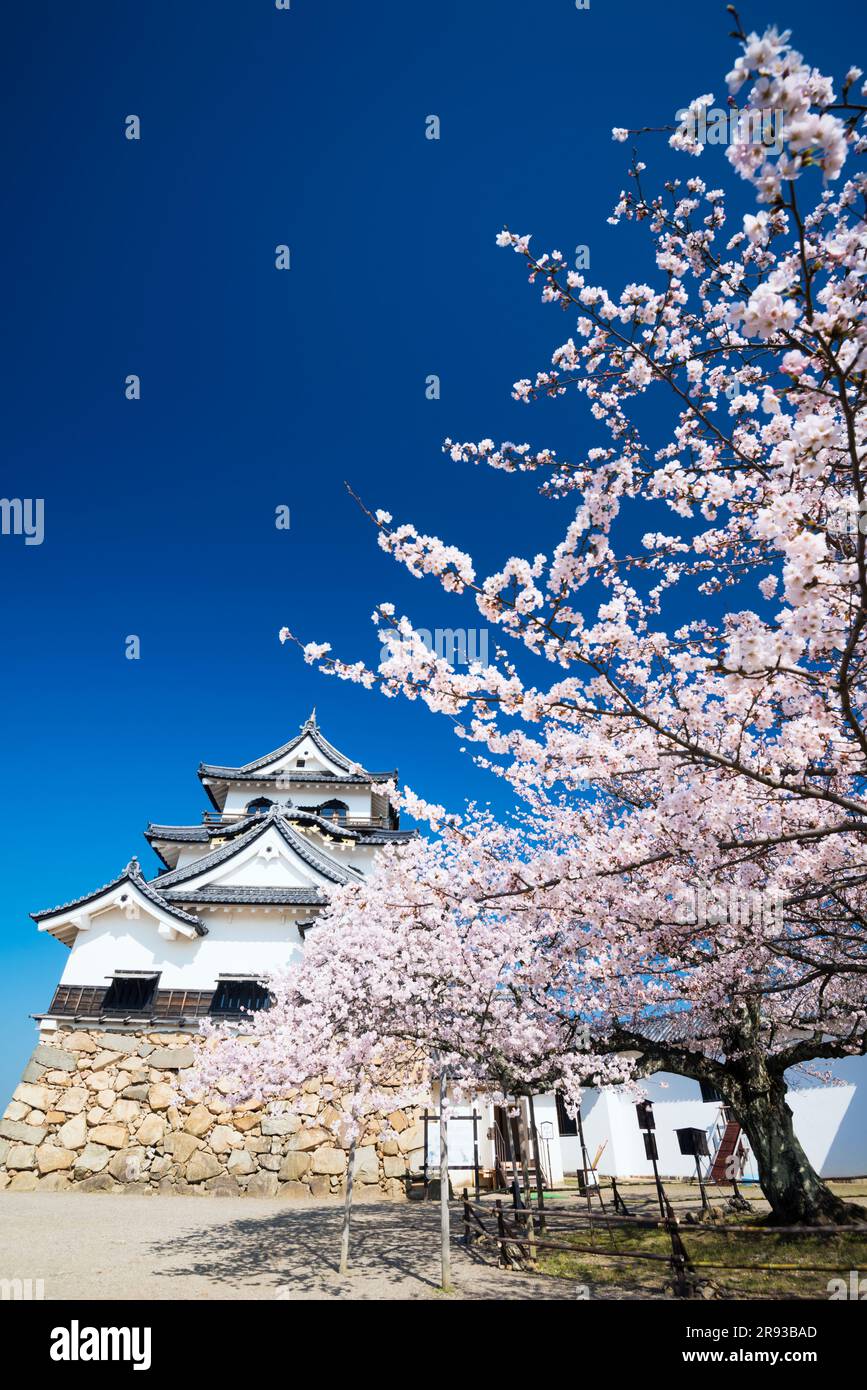 Hikone castle tower hi-res stock photography and images - Alamy