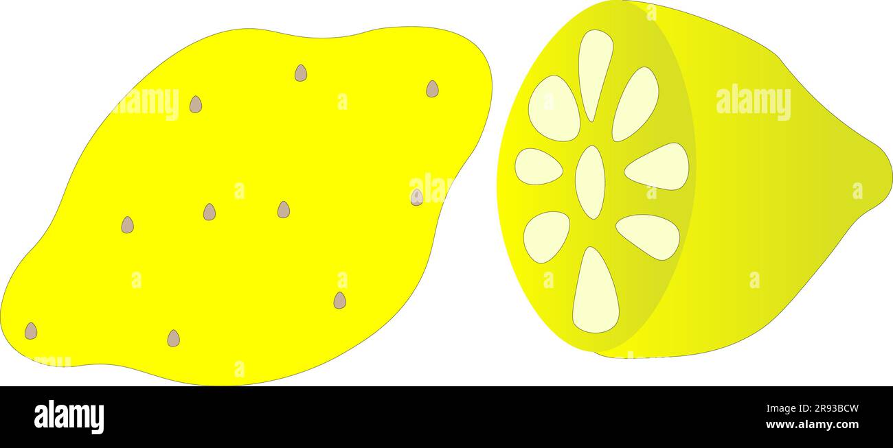 Lemon on a white background, children's drawing Stock Vector Image ...