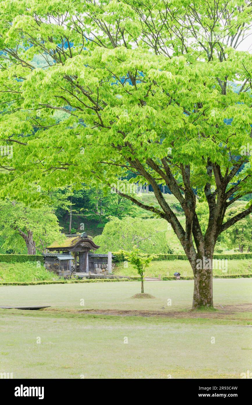 Karamon Gate at the Ichijodani Asakura Clan Site Stock Photo - Alamy