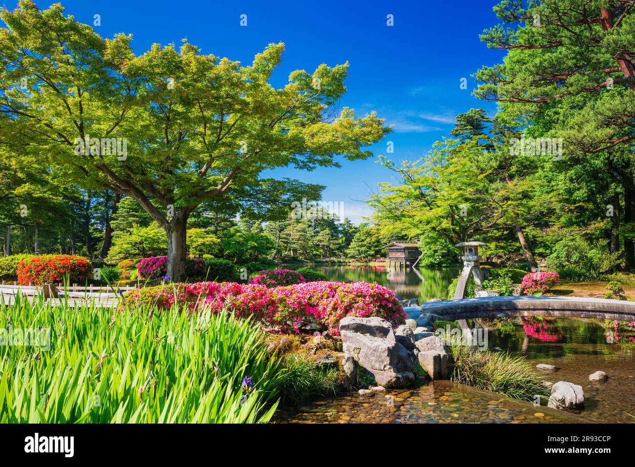 Satsuki and Kenrokuen Garden Stock Photo - Alamy