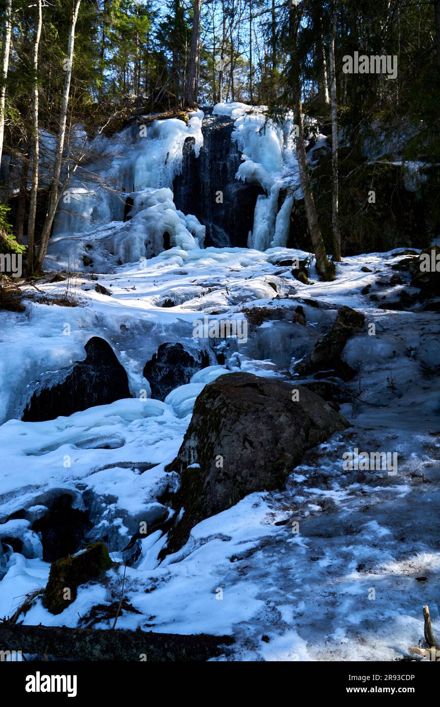 A stunning frozen waterfall with a backdrop of lush evergreen trees ...
