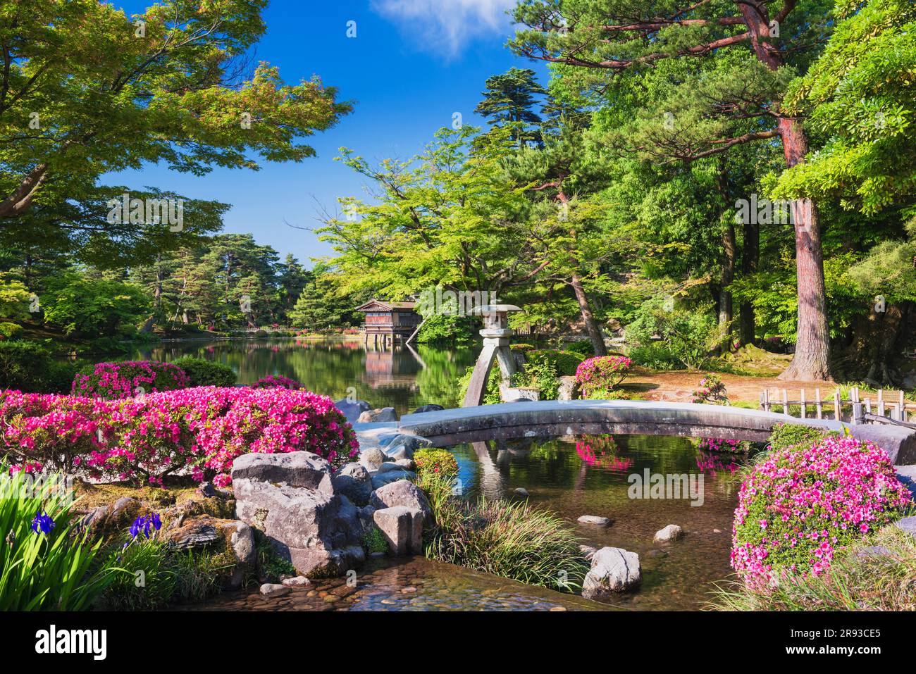 Satsuki and Kenrokuen Garden Stock Photo - Alamy