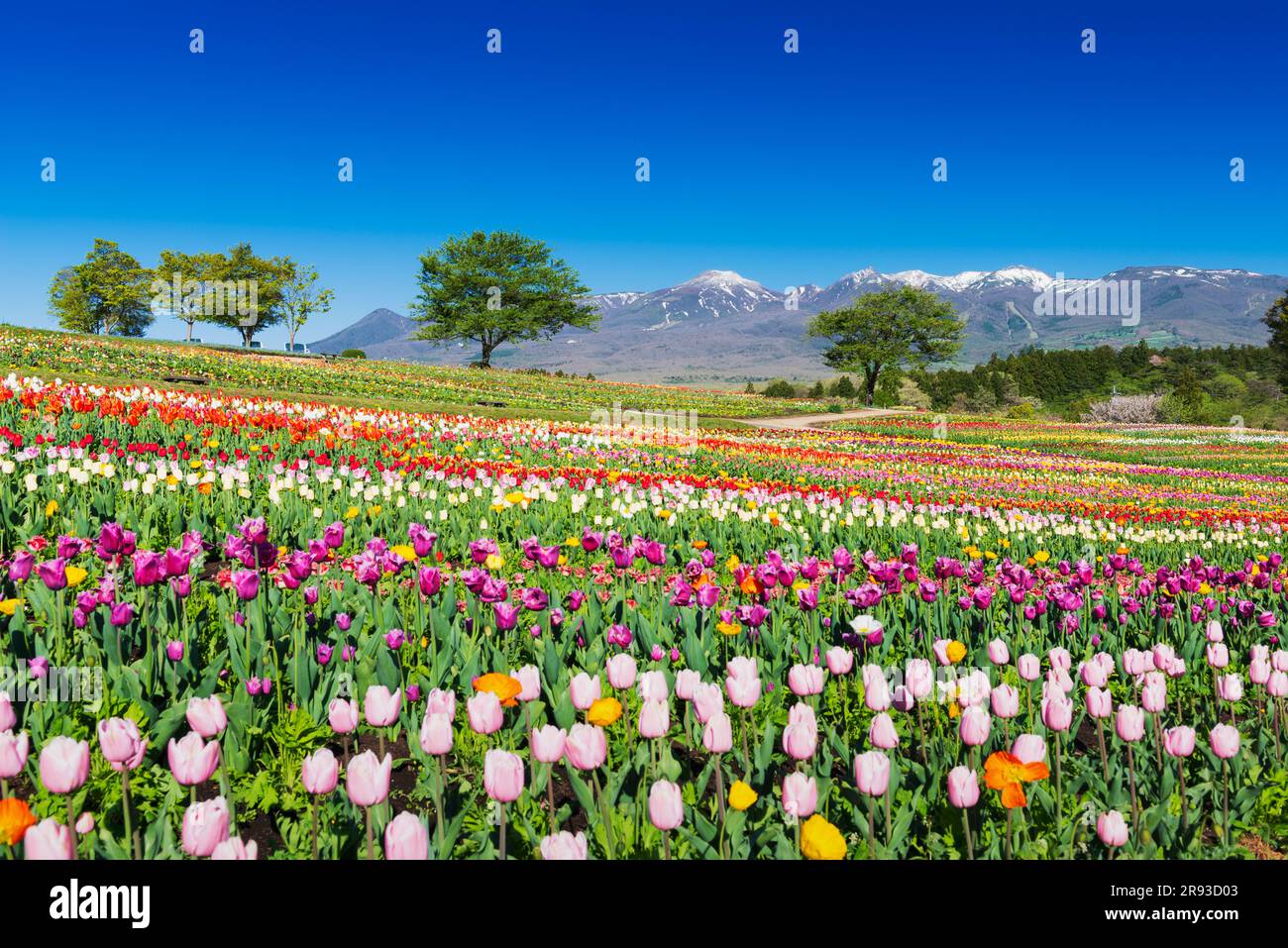 Mount nasu hi-res stock photography and images - Alamy
