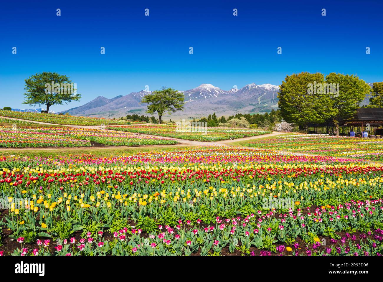 Mount nasu hi-res stock photography and images - Alamy