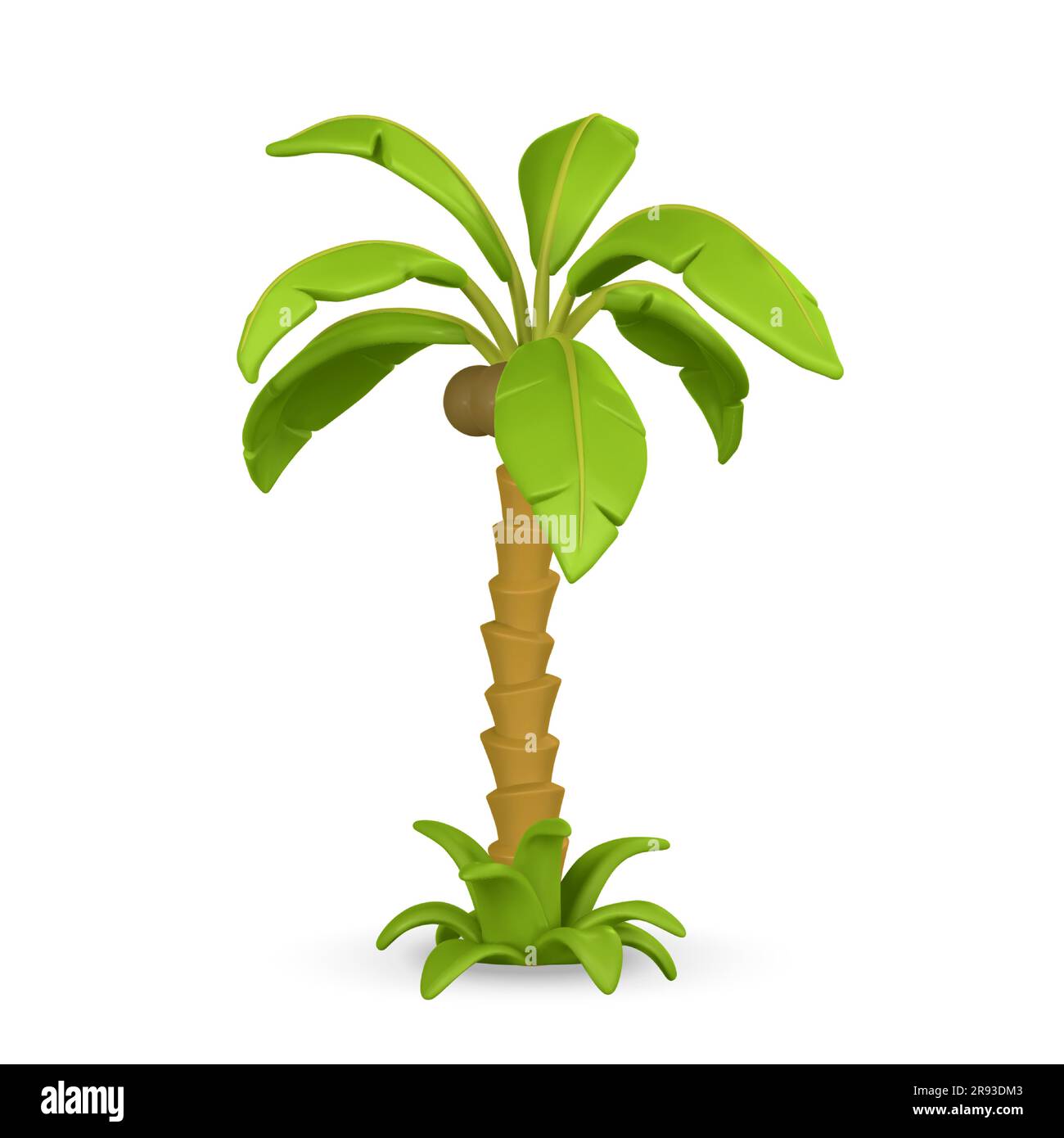 3D Cute cartoon tropical palm tree. Realistic jungle tree on light ...