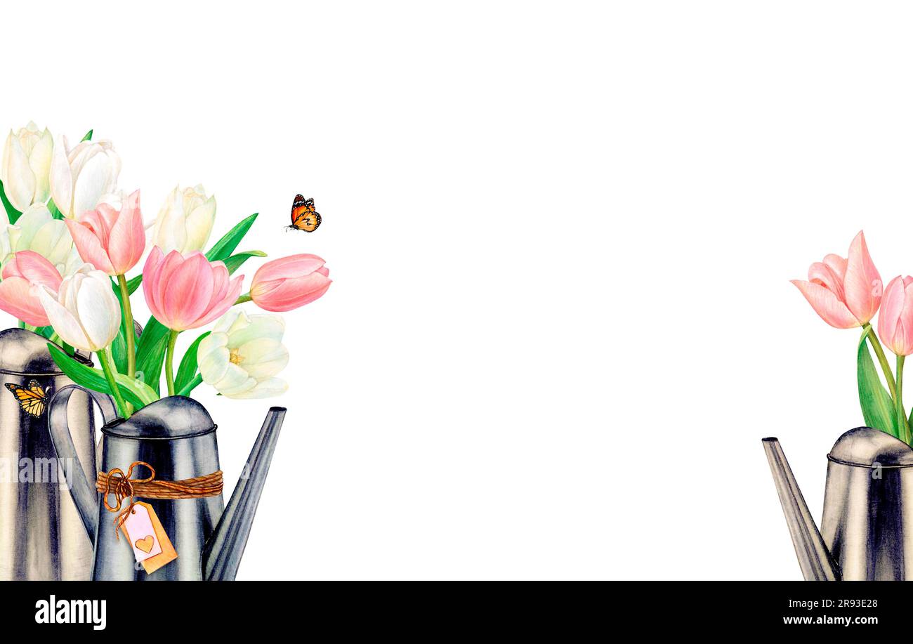 Watercolour drawn pictire of metal watering cans with beautiful white ...
