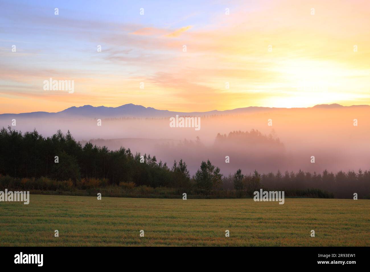 Morning light and fog Stock Photo - Alamy