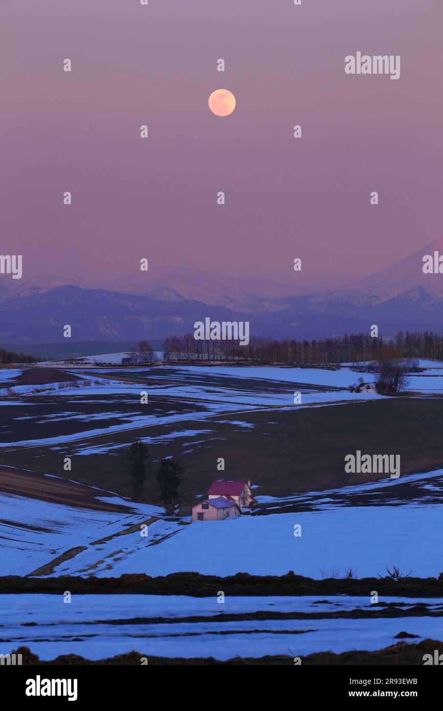 Red roof house and full moon Stock Photo - Alamy