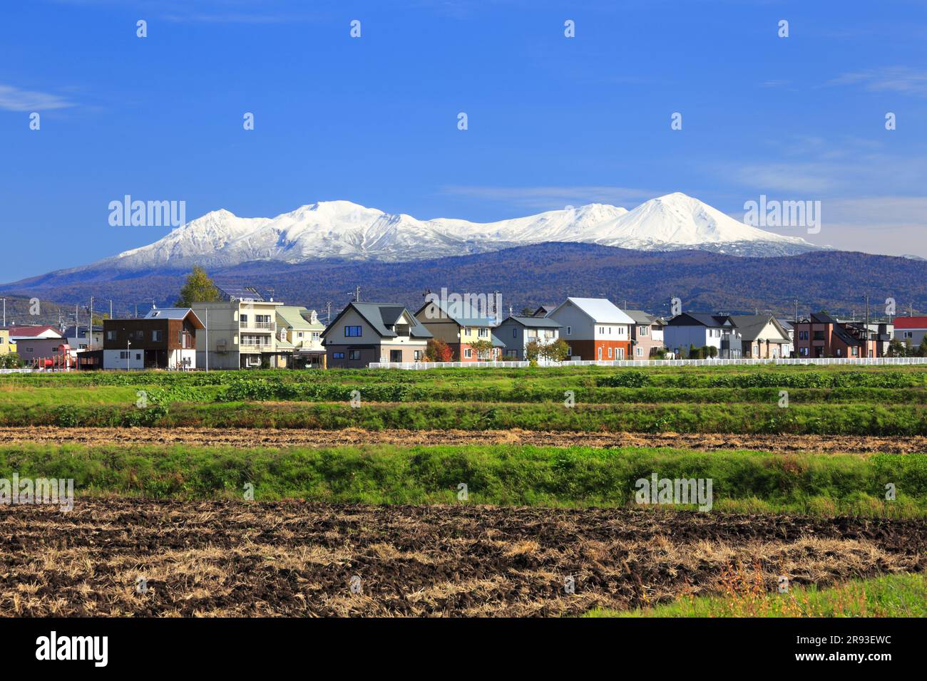 Paddy area hi-res stock photography and images - Alamy