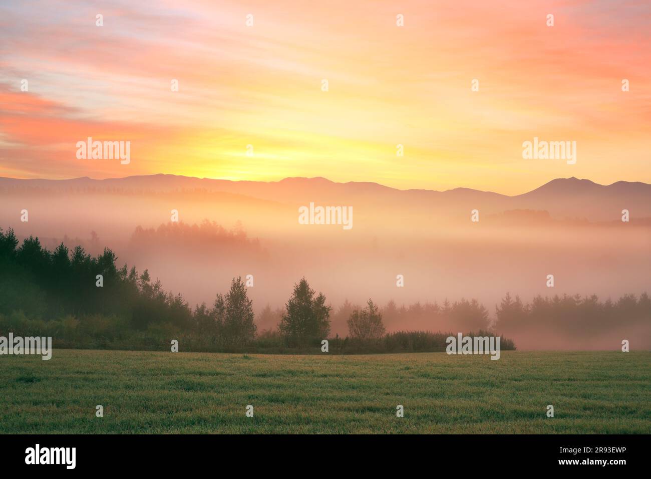 Light field gun hi-res stock photography and images - Alamy