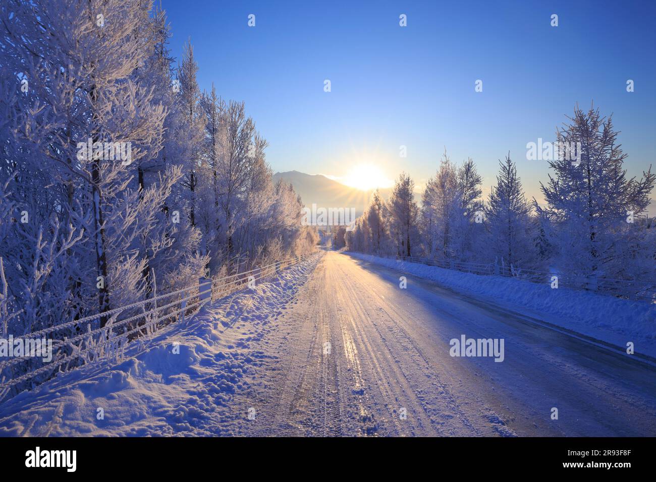 Soft morning sun hi-res stock photography and images - Alamy