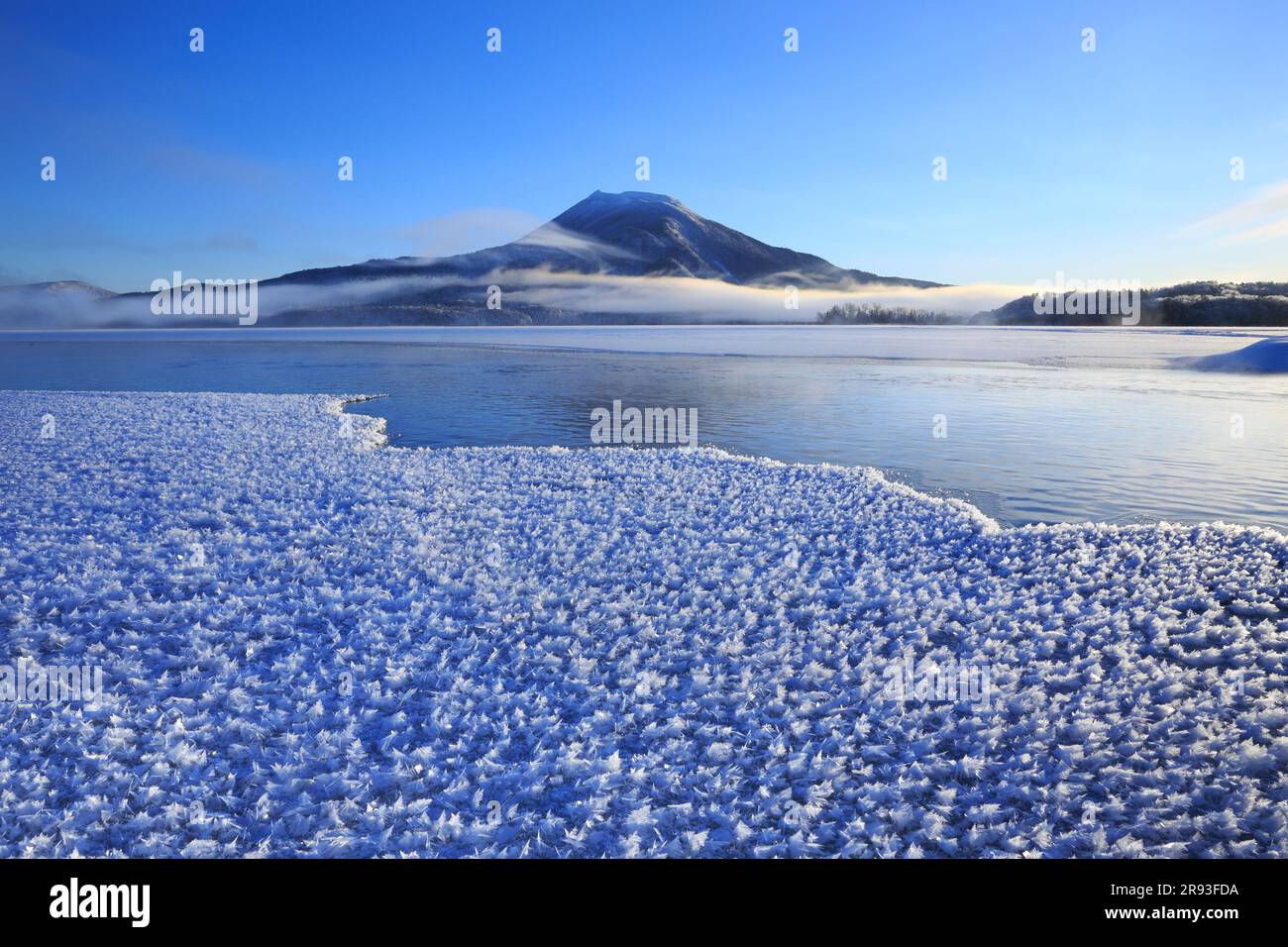 Frost flower and lake hi-res stock photography and images - Alamy