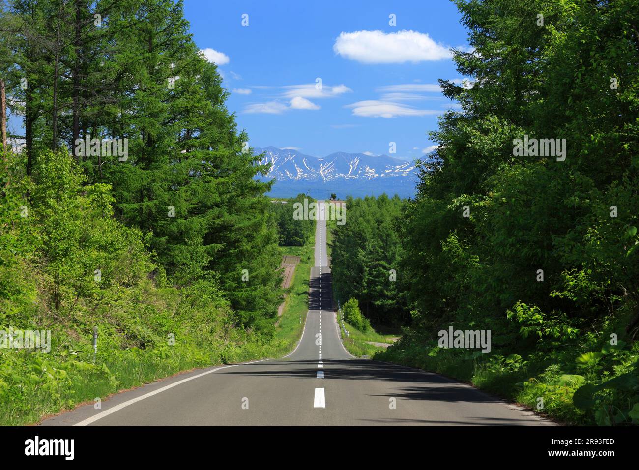 Roller coaster road hi-res stock photography and images - Alamy