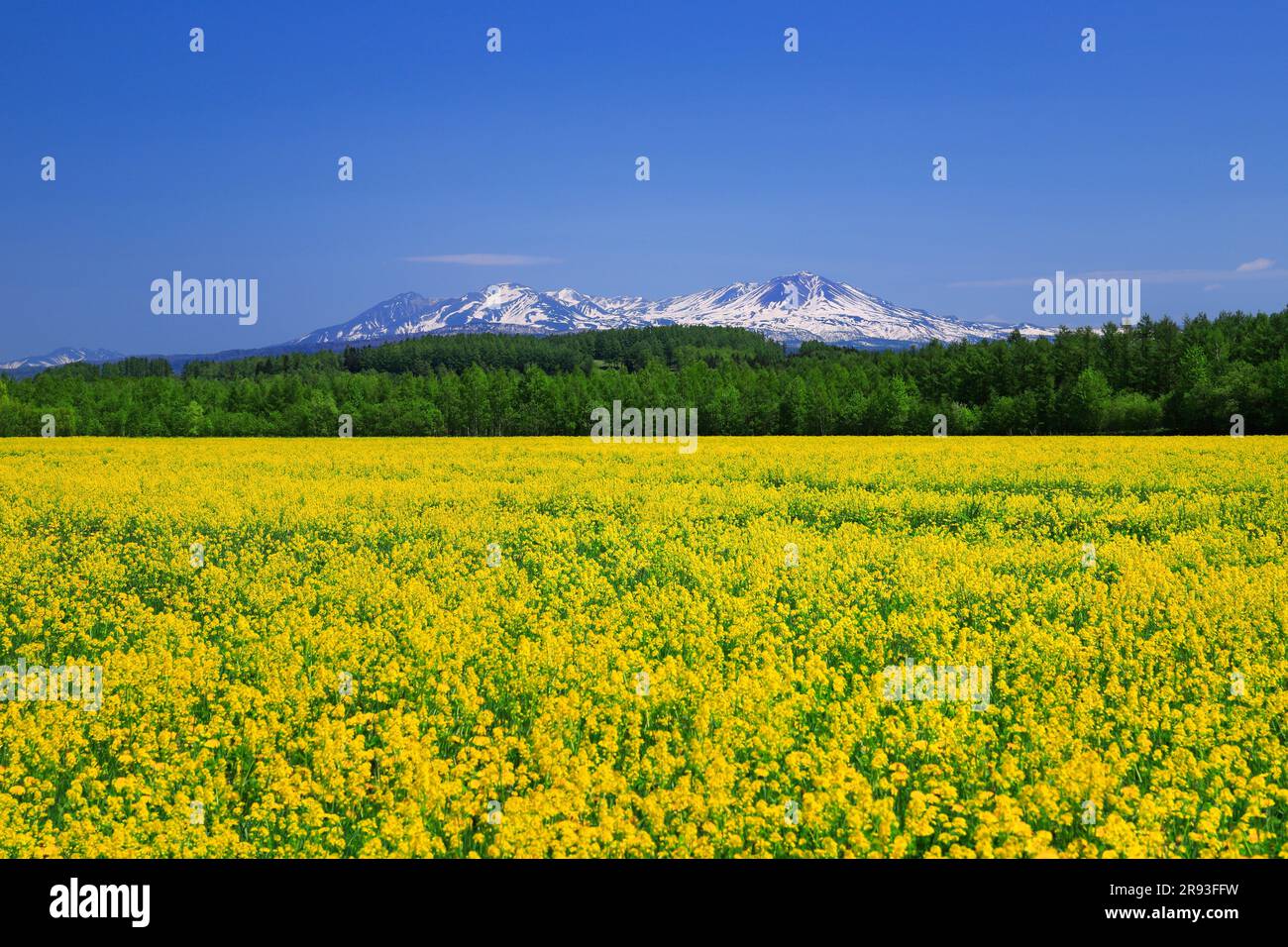 Taisetsu asahidake hi-res stock photography and images - Alamy