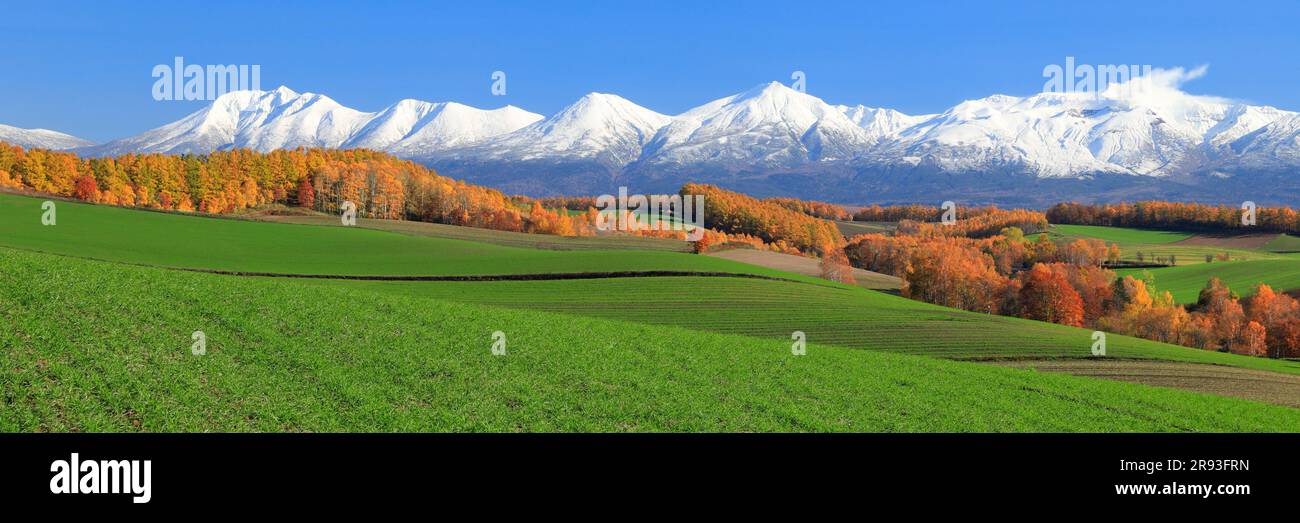 Hilly land hi-res stock photography and images - Alamy