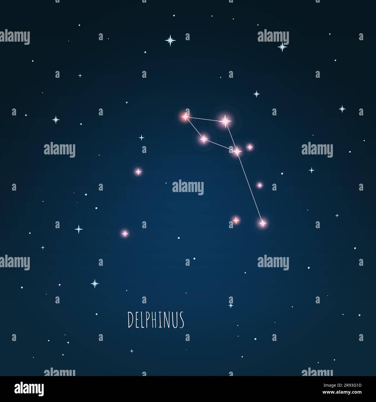 Constellation Delphinus scheme in starry sky Space Stock Vector Image & Art - Alamy
