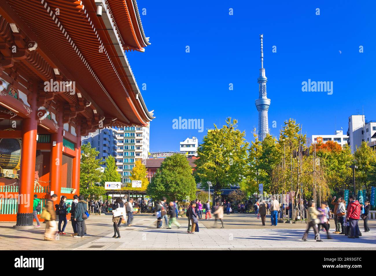 Autumn leaves of Sensoji Temple and Tokyo Sky Tree Stock Photo - Alamy
