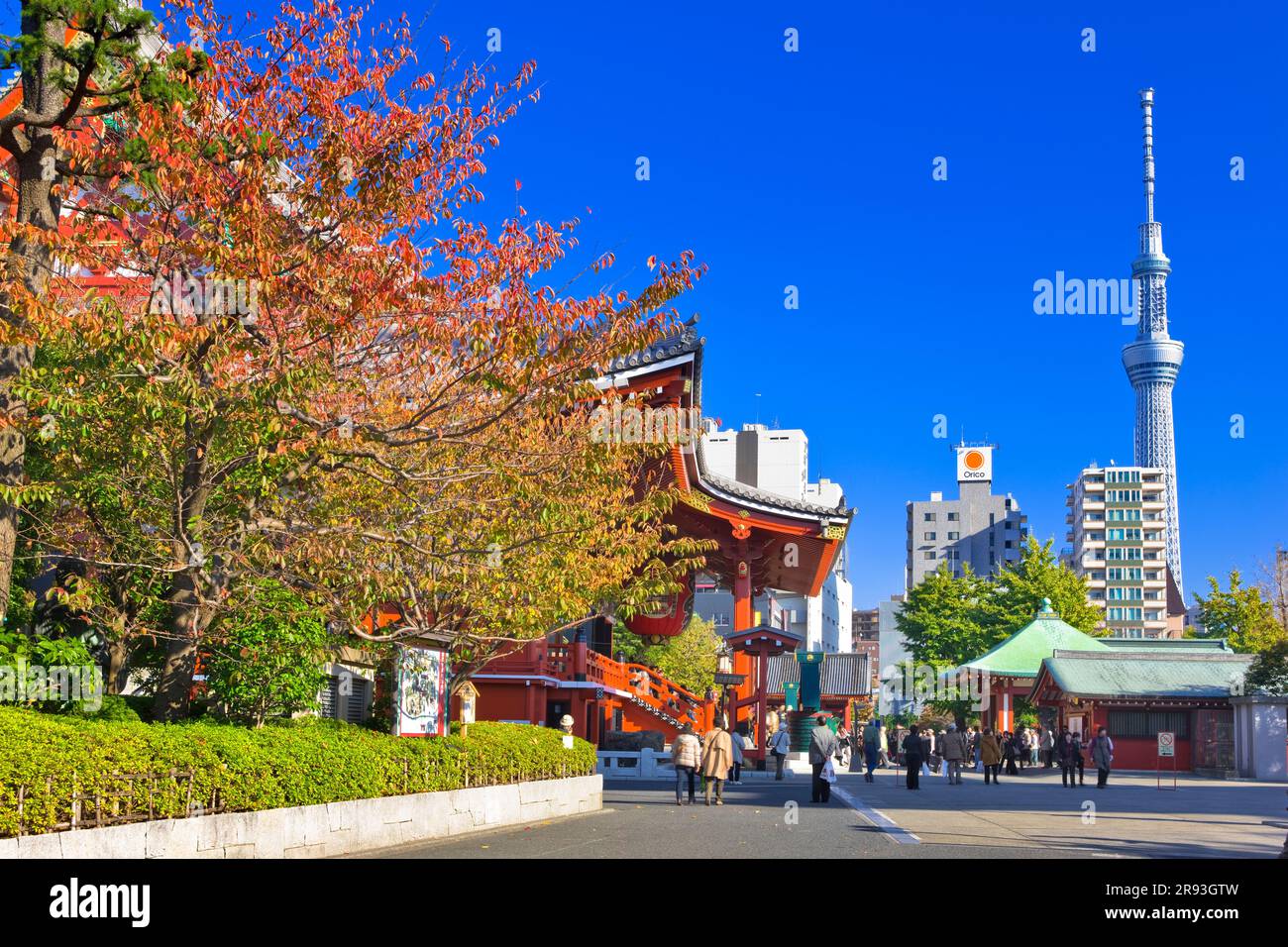 Autumn leaves of Sensoji Temple and Tokyo Sky Tree Stock Photo - Alamy