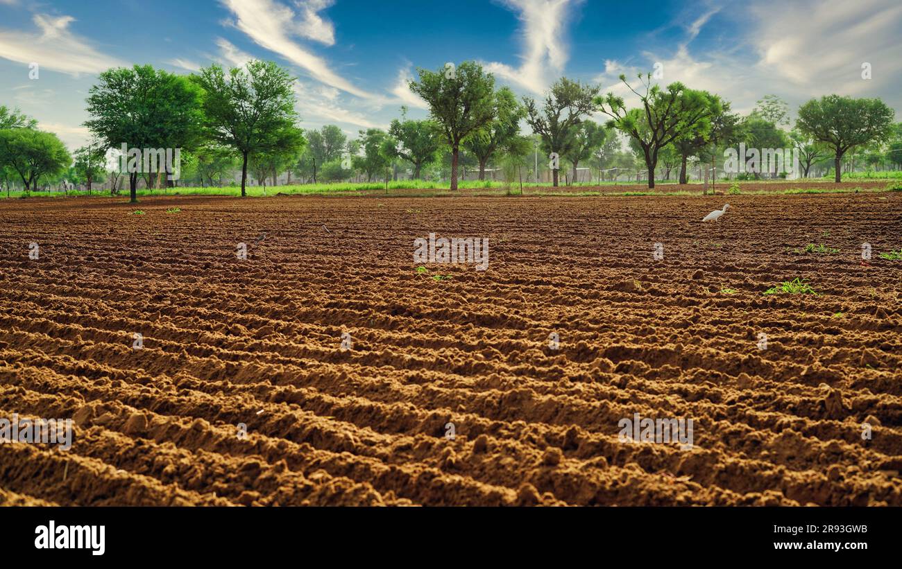 Summer farm field ready for new planting season. Agriculture and ...