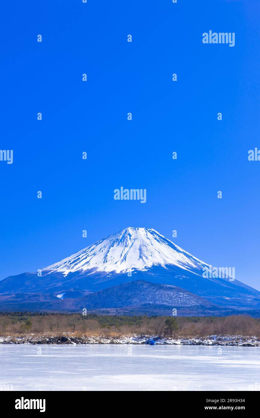 Lake Shoji-Ko and Mt. Fuji Stock Photo - Alamy