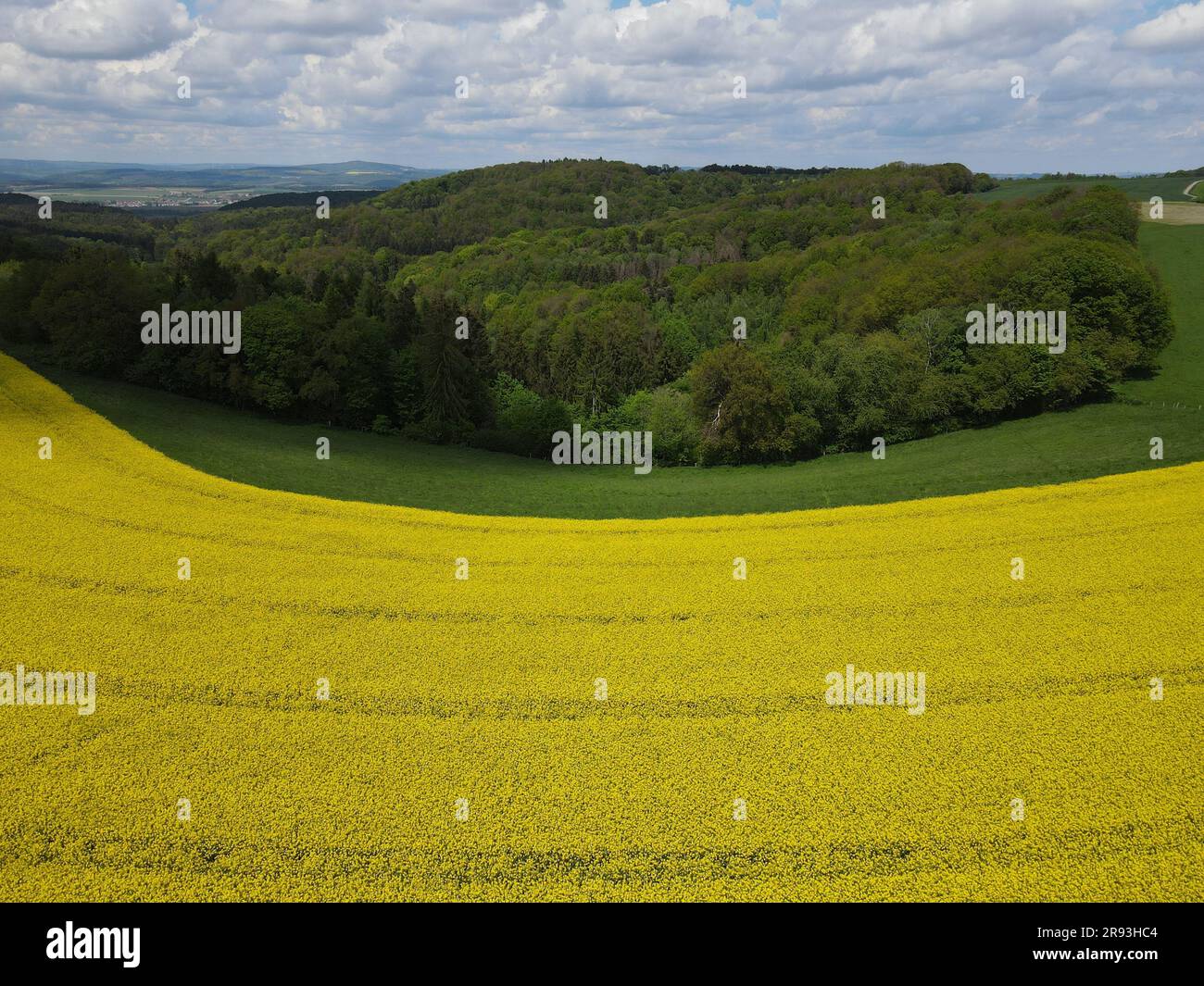 Aerial view of a Landscape in spring with blooming canola field, grass ...