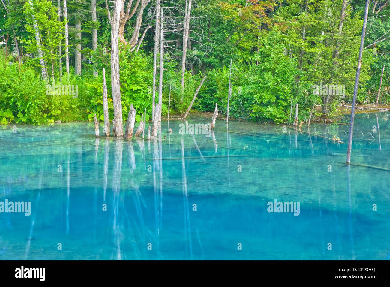 Sightseeing nature hi-res stock photography and images - Alamy