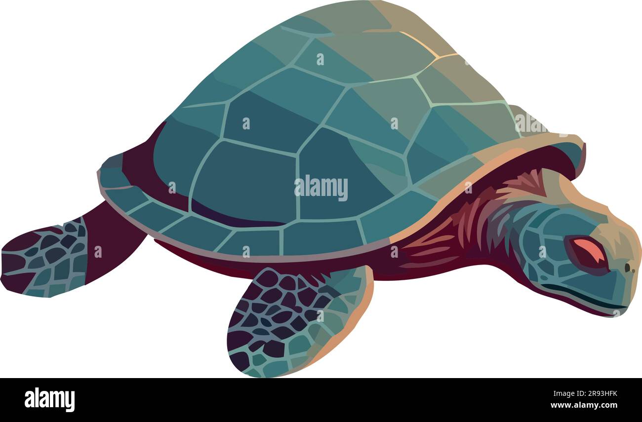 Green turtle species Stock Vector Images - Alamy