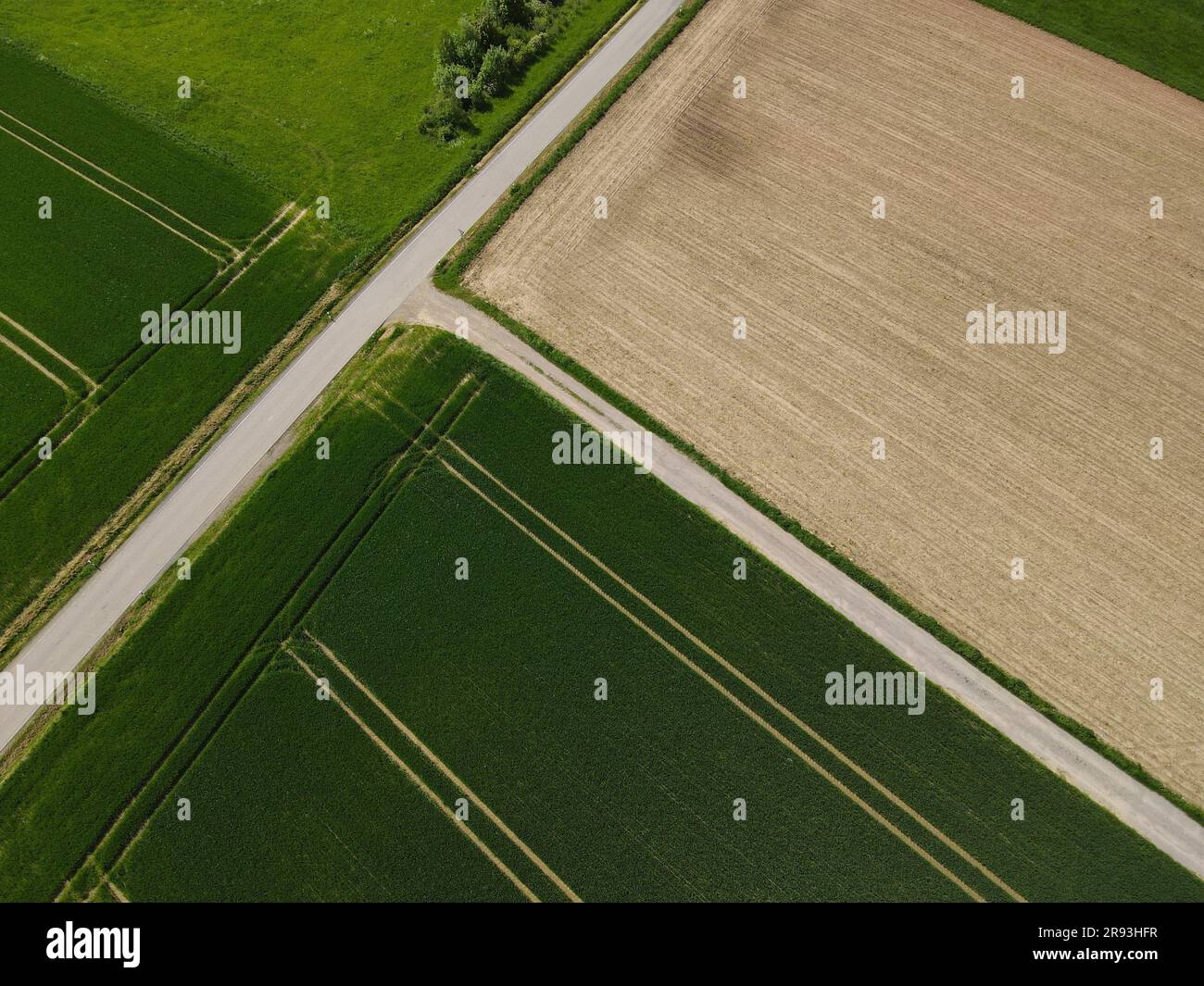 Aerial view of a asphalt road between growing agriculture fields with ...