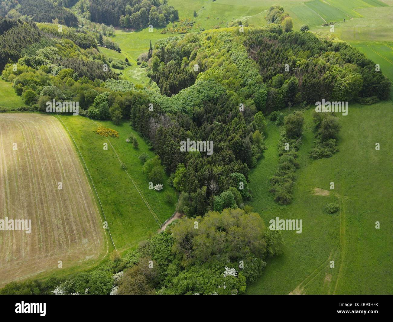 Landscape with trees and grass from above Stock Photo - Alamy