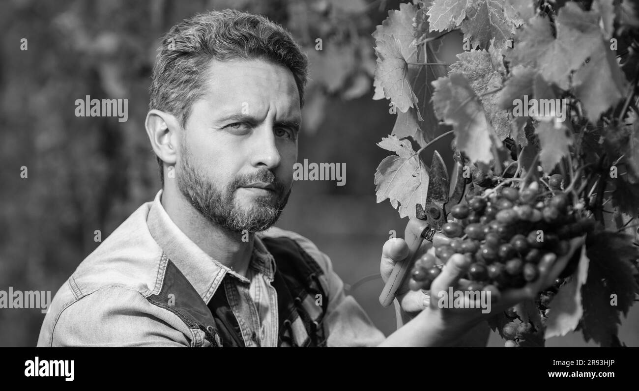 Man cutting fruit Black and White Stock Photos & Images - Alamy