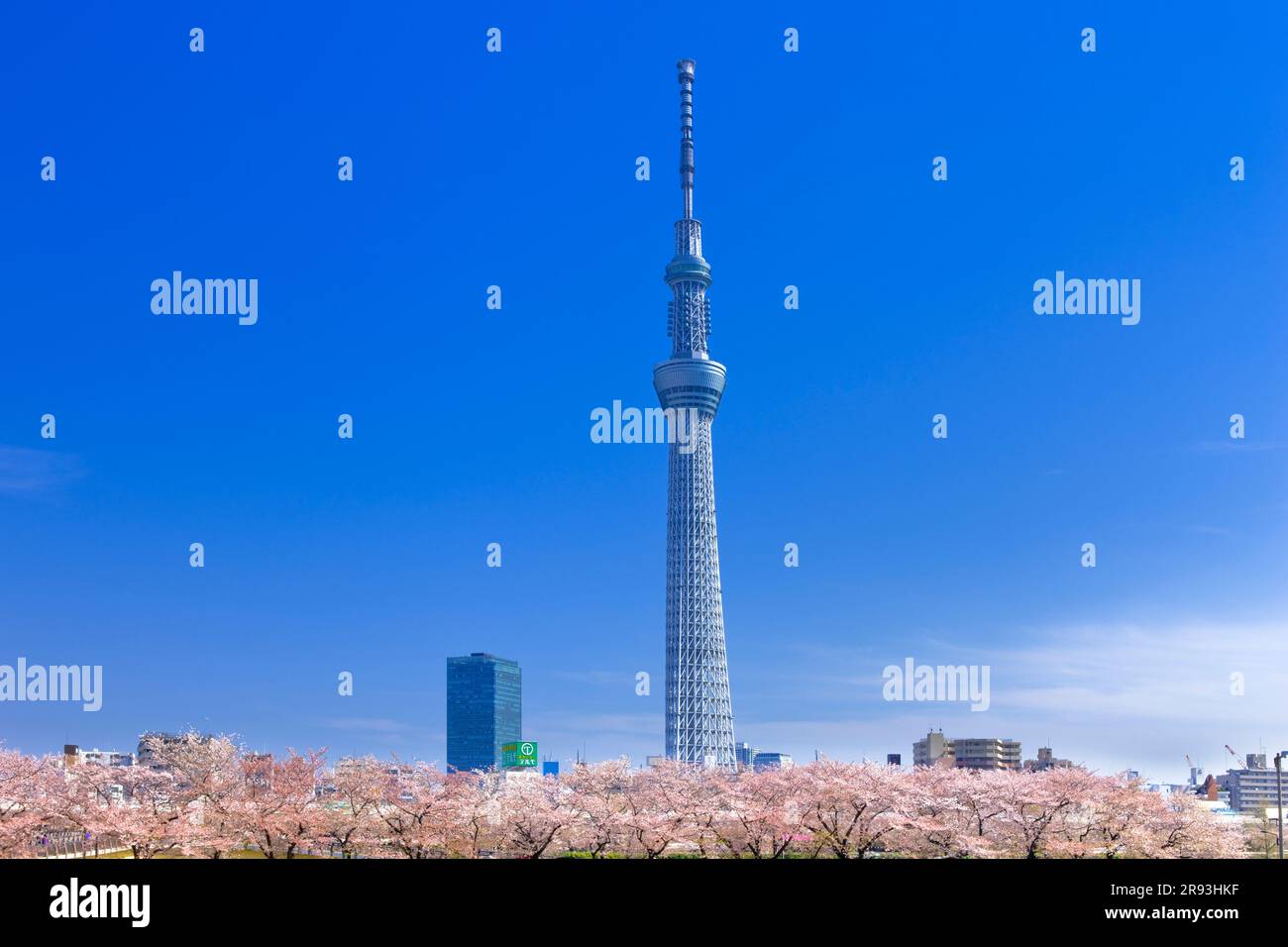 Relaxed flower hi-res stock photography and images - Alamy