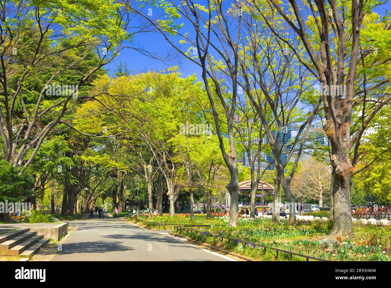 Sunny days at the park hi-res stock photography and images - Alamy