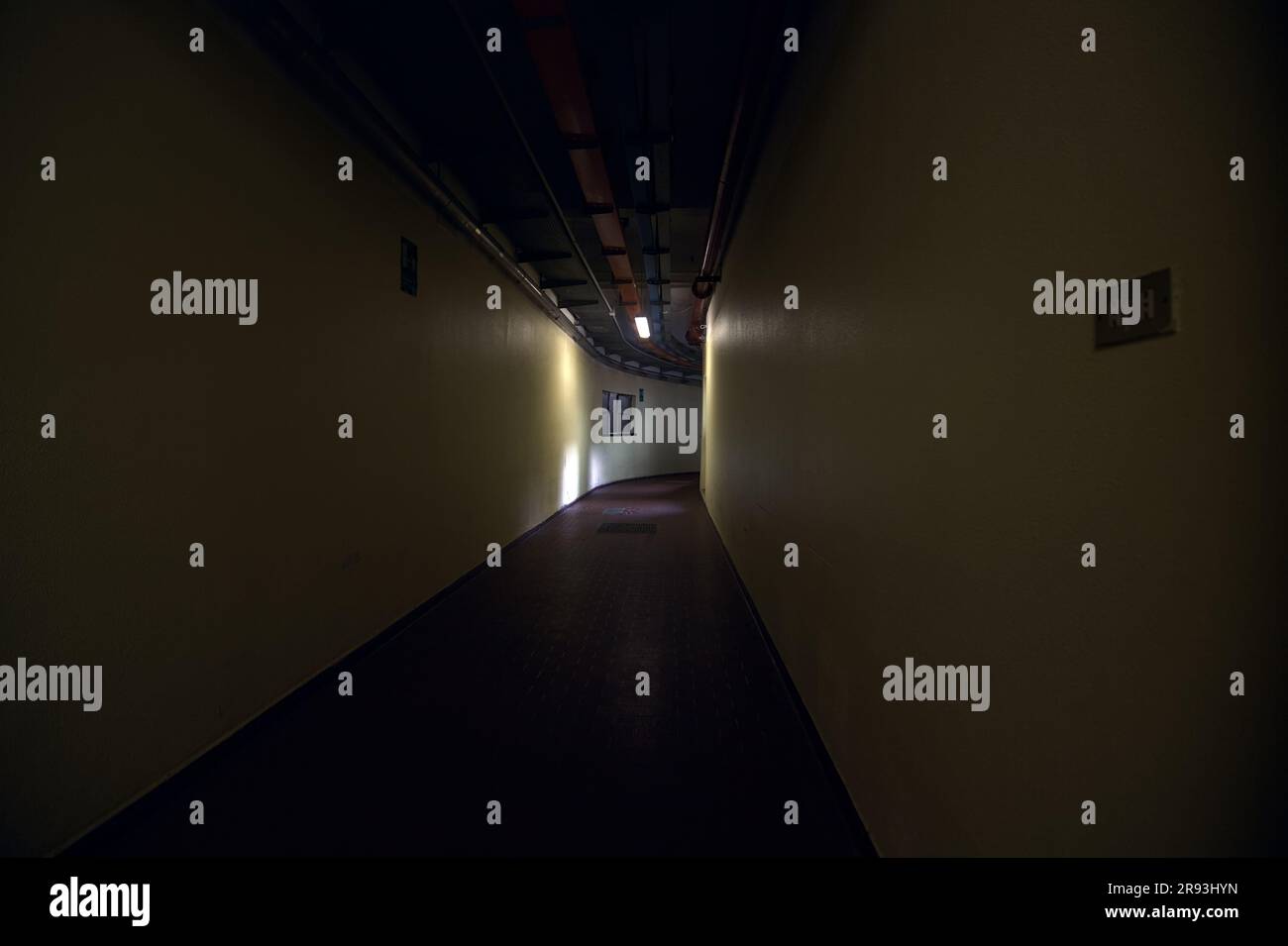 Dark and narrow corridor with neon lights Stock Photo - Alamy