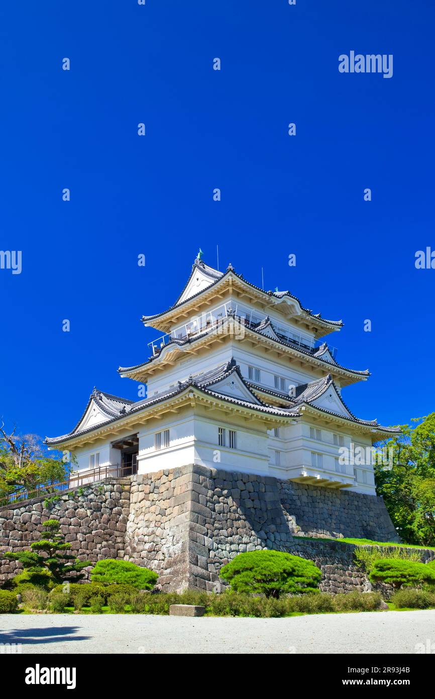 The castle tower of Odawara Castle Stock Photo - Alamy