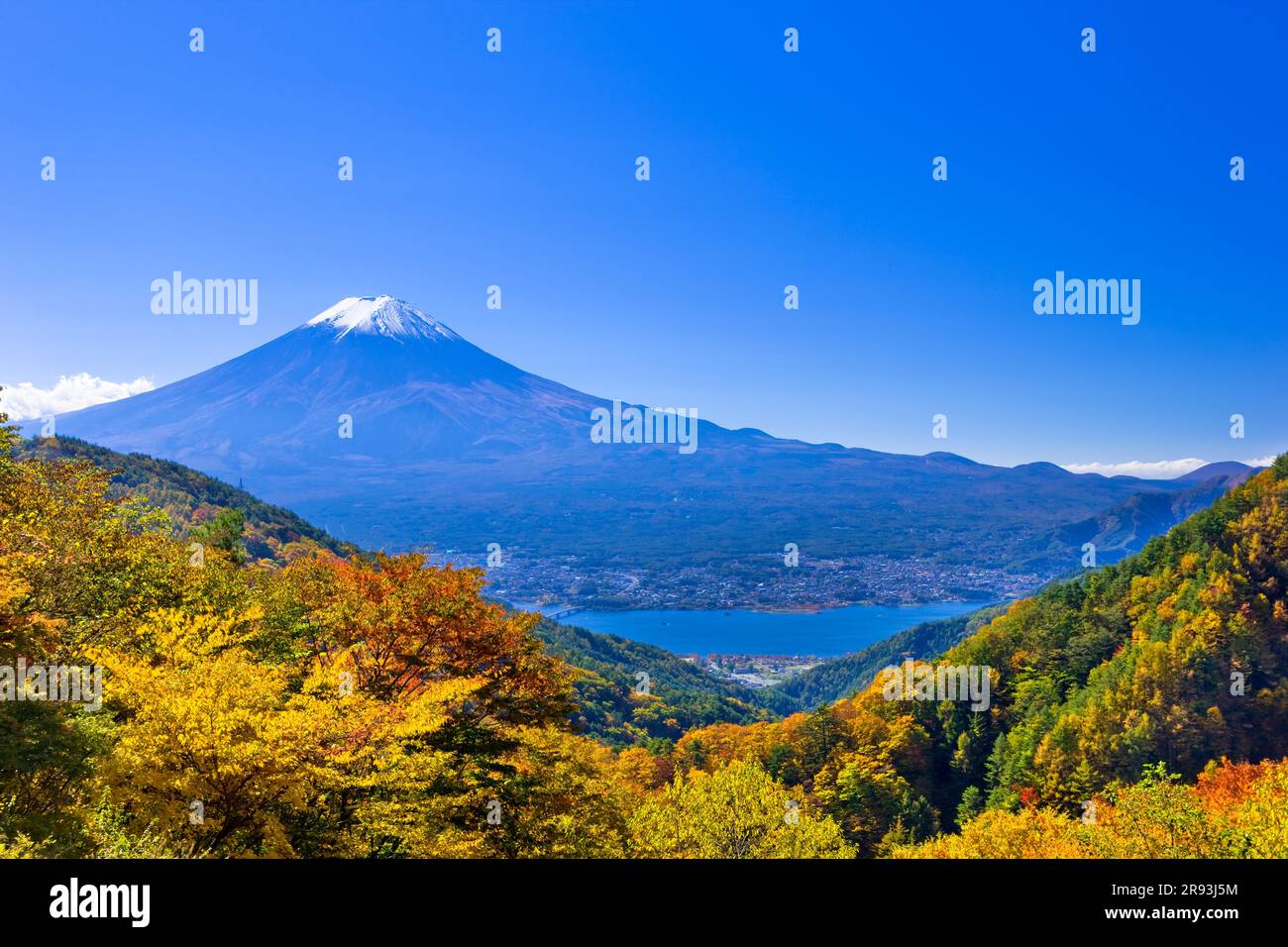 Fuji and Autumn Leaves of Misaka Pass Stock Photo - Alamy
